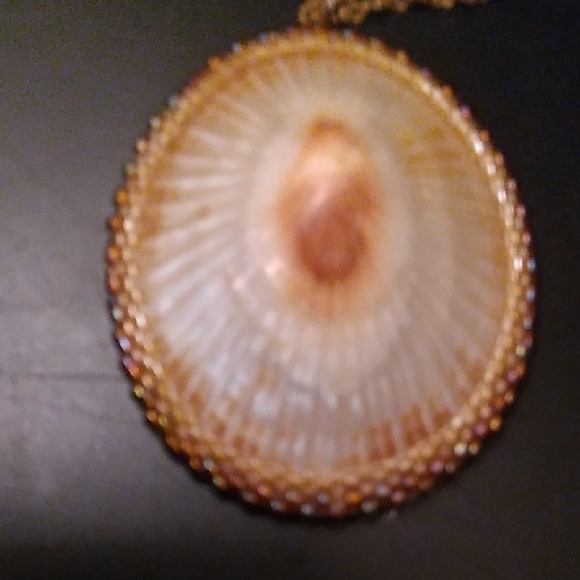 Jewelry | Opihi Shell Or Limpet Shell Rare Collectable Unique Georgous ...